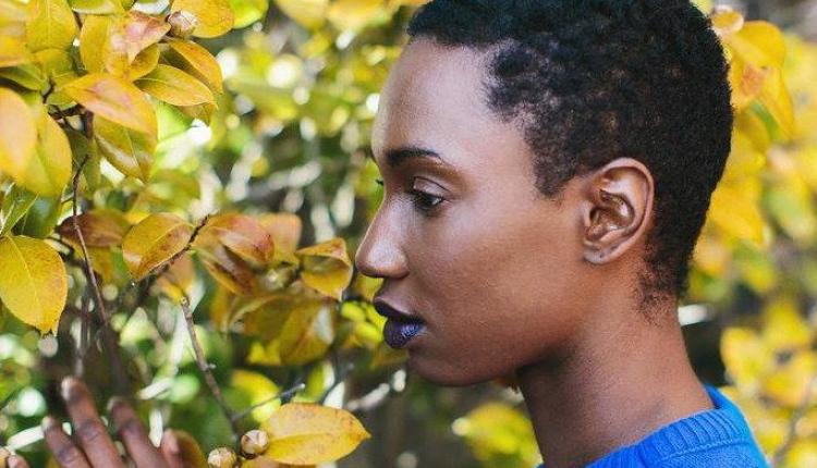 afropunk premiere: folk singer-songwriter sye elaine spence’s animated ...